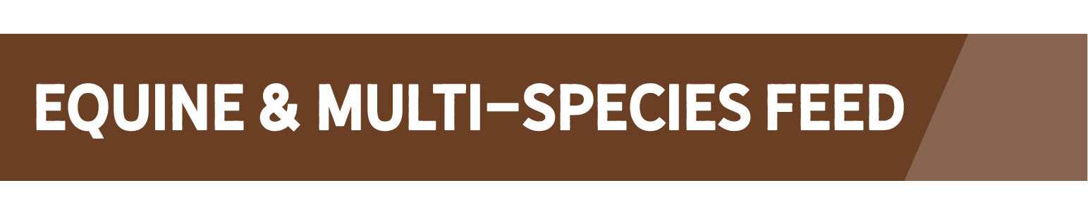 Complete Equine – Country Companion