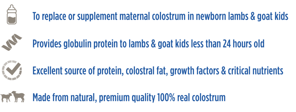 Lamb & Goat Kid Colostrum Replacer & Supplement – Country Companion