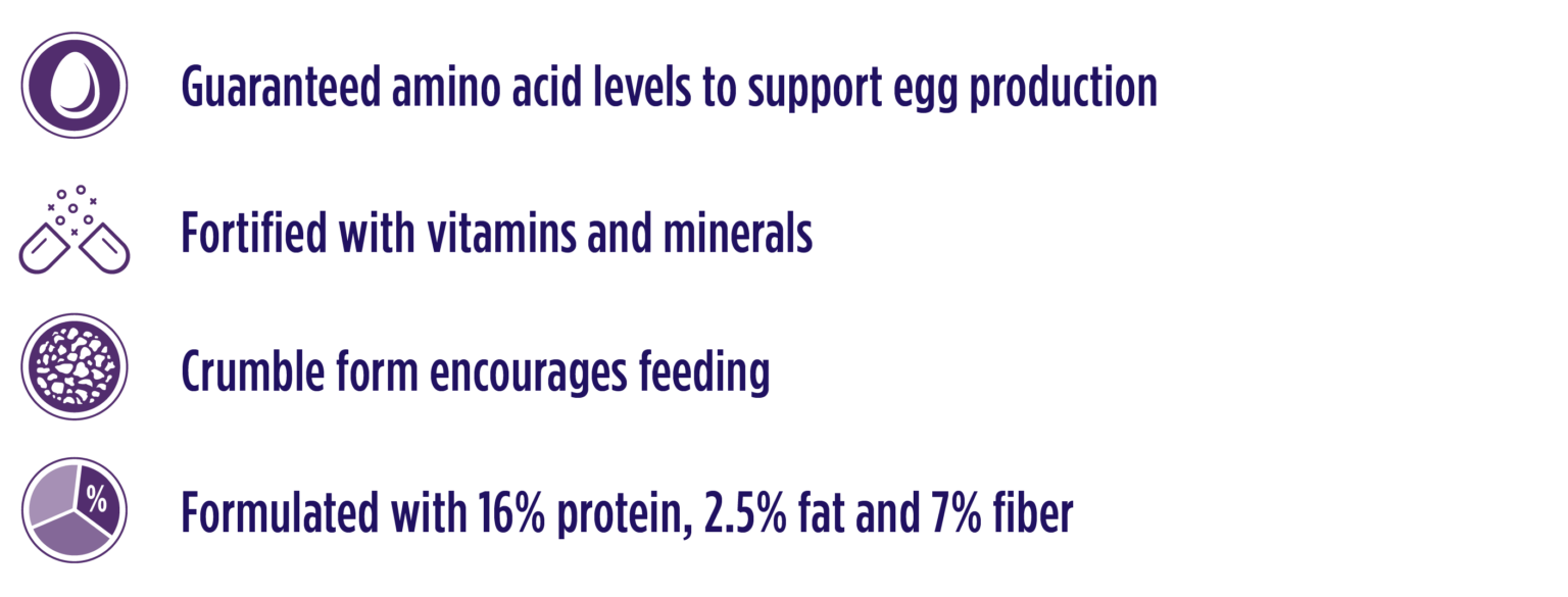 Layer Crumble – Country Companion