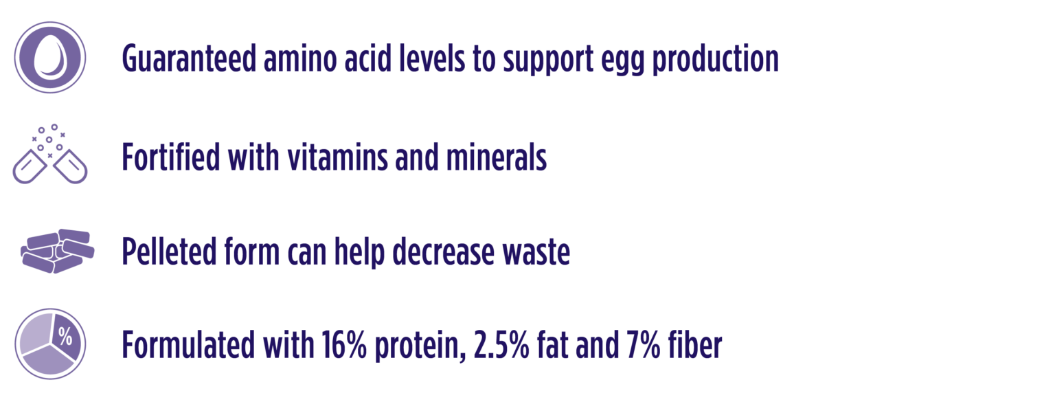 Layer Pellet – Country Companion