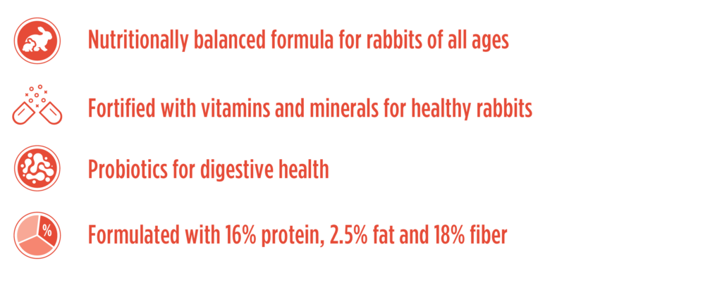 Rabbit Feed – Country Companion