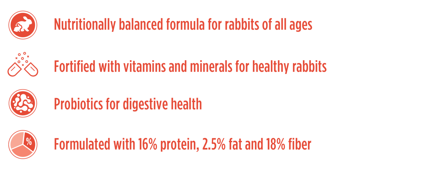 Rabbit Feed – Country Companion