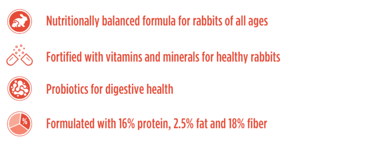 Rabbit Feed – Country Companion