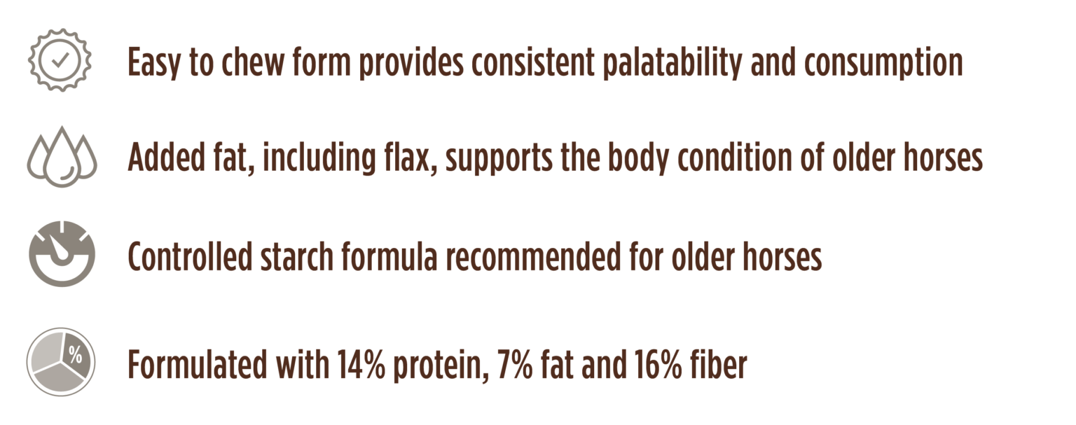 Senior Equine – Country Companion